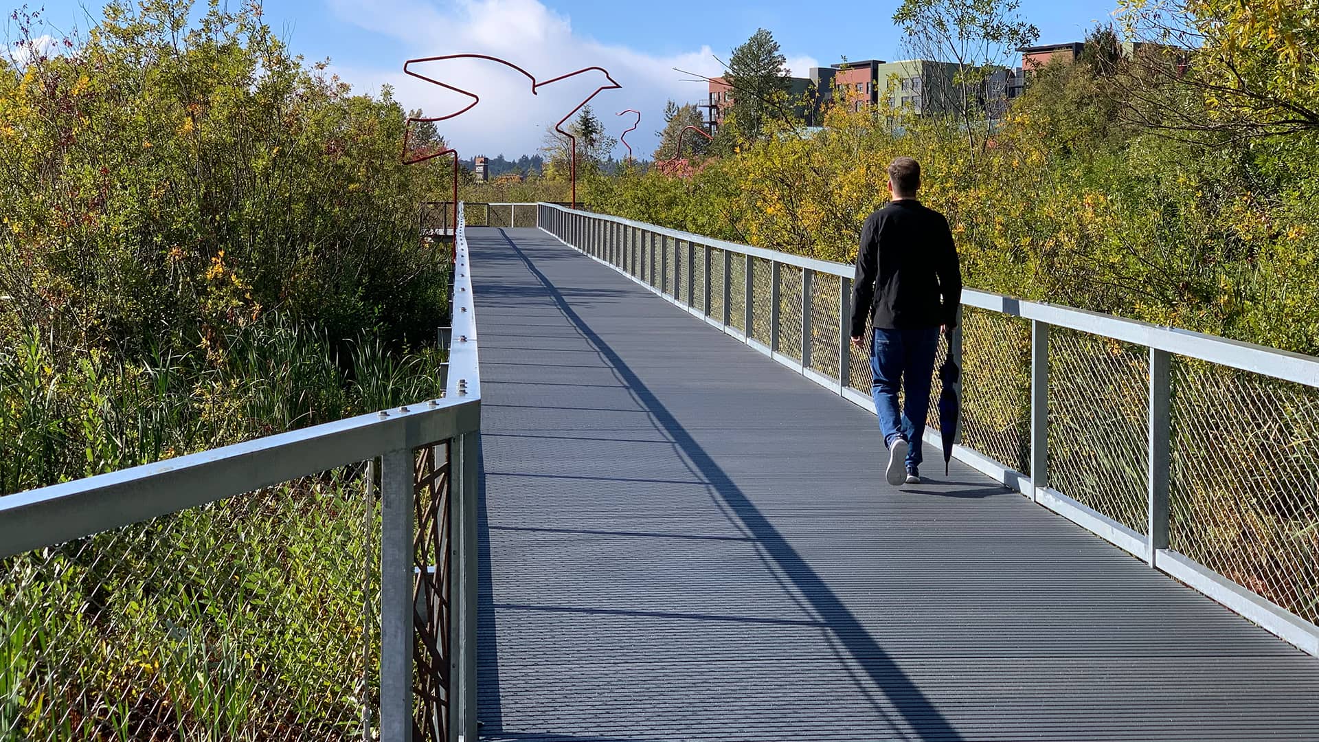 Totem Lake Park Wins ASLA Washington Award - Swenson Say Fagét